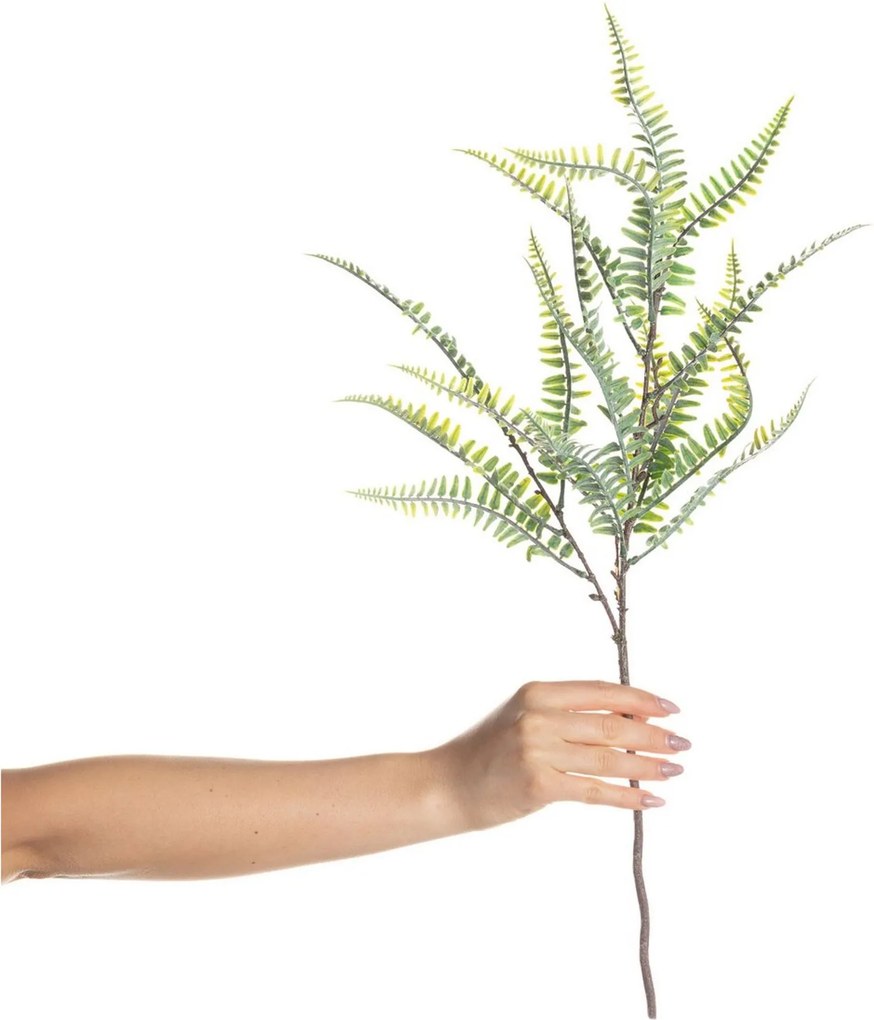 Kapradí na větvičce 60cm