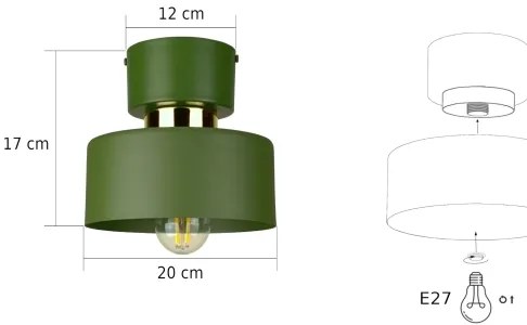 Stropní svítidlo IGNIA 1xE27/60W/230V zelená