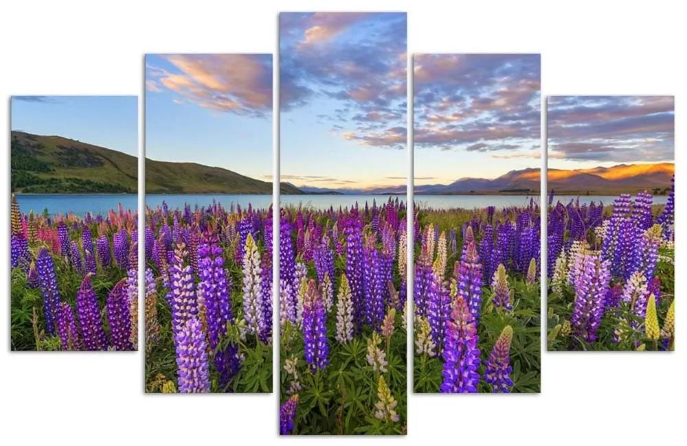 Obraz na plátně pětidílný Levandulové jezero Květiny - 100x70 cm