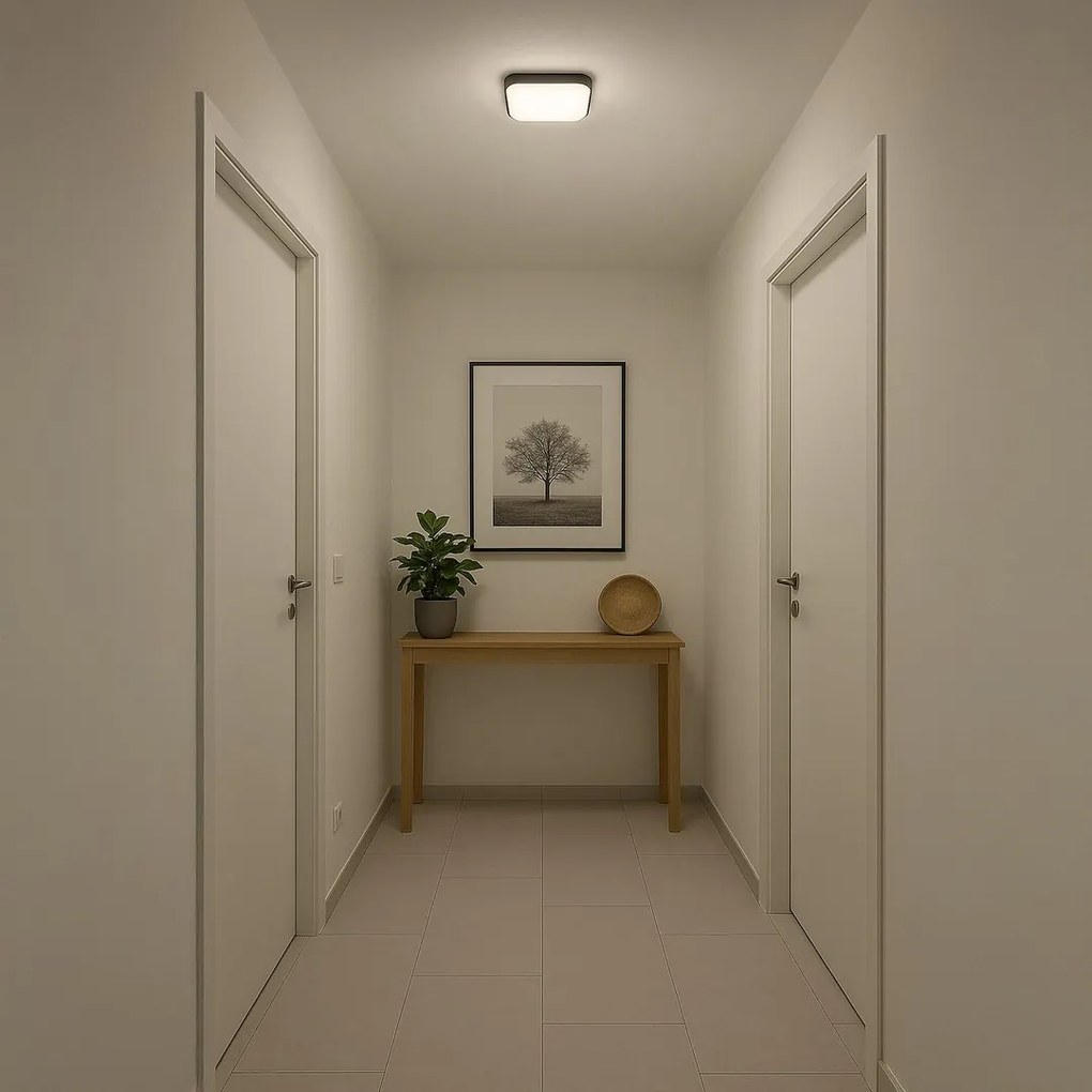 Stropní LED svítidlo Nemo, 1x LED 11w, 4000k, b