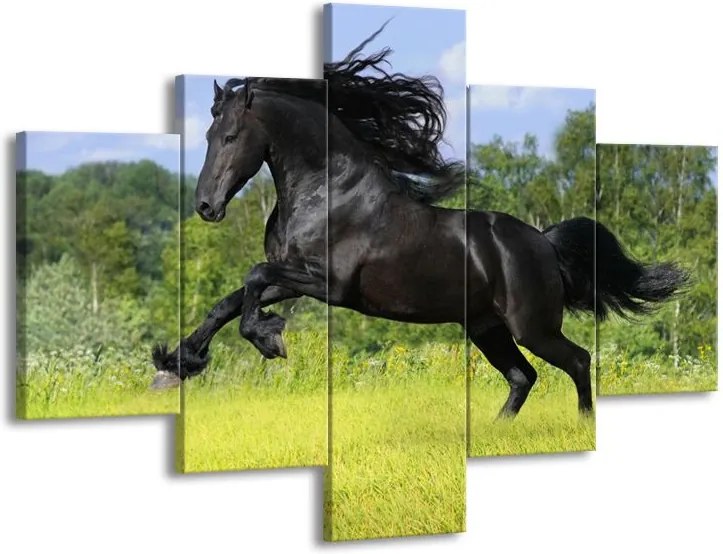 Černý kůň v pohybu 100x70 cm
