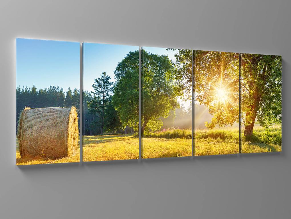Liox Balík slámy v ranním slunci Rozměr: 100 x 40 cm
