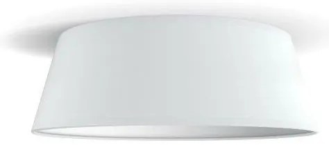 Philips - LED Stropní svítidlo DAWN LED/14W/230V bílá