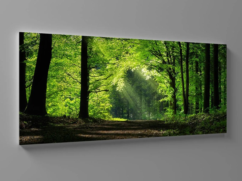 Liox XXL Obraz zelený les v ÚSVITU Rozměr: 250 x 125 cm