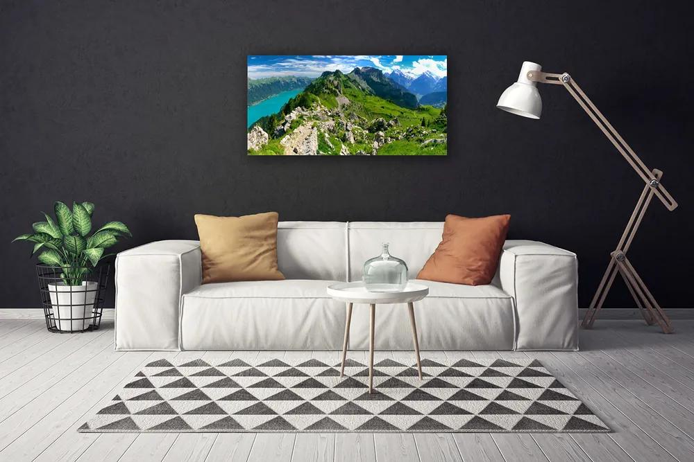 Obraz na plátně Louka Hory Krajina Příroda 120x60 cm