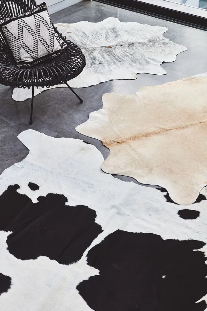 Černý koberec Banshee Black Rozměry: 180x240 cm