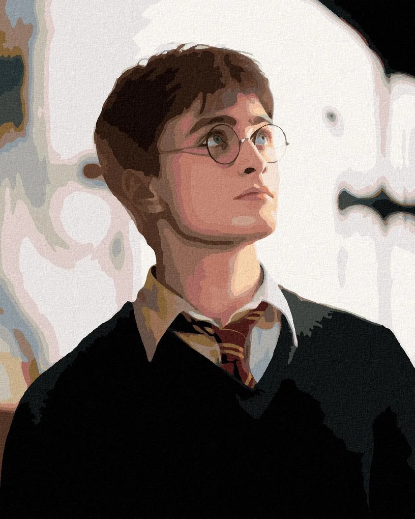 Malování podle čísel portrét harry potter, 40x50 cm, vypnuté plátno na rám