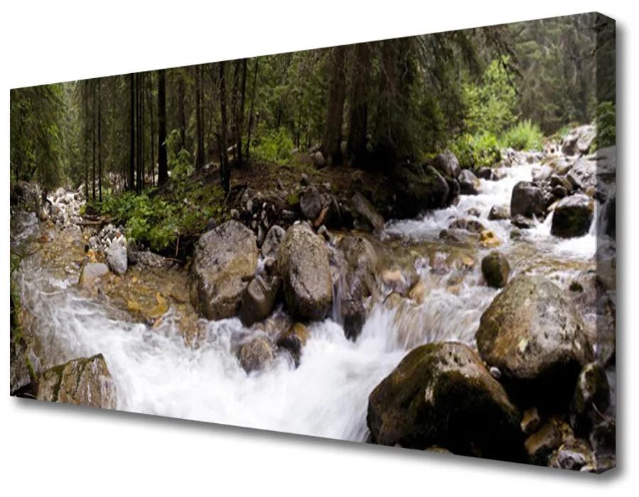 Obraz na plátně Les Řeka Vodopády 100x50 cm