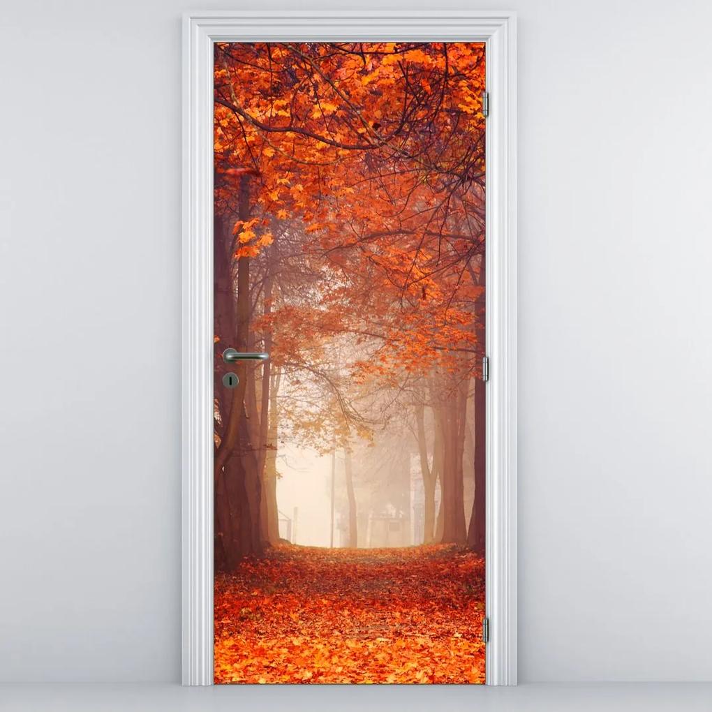 Fototapeta na dveře - Podzimní les (95x205cm)