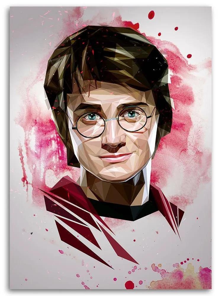 Gario Obraz na plátně Harry Potter, čaroděj - Dmitry Belov Rozměry: 40 x 60 cm