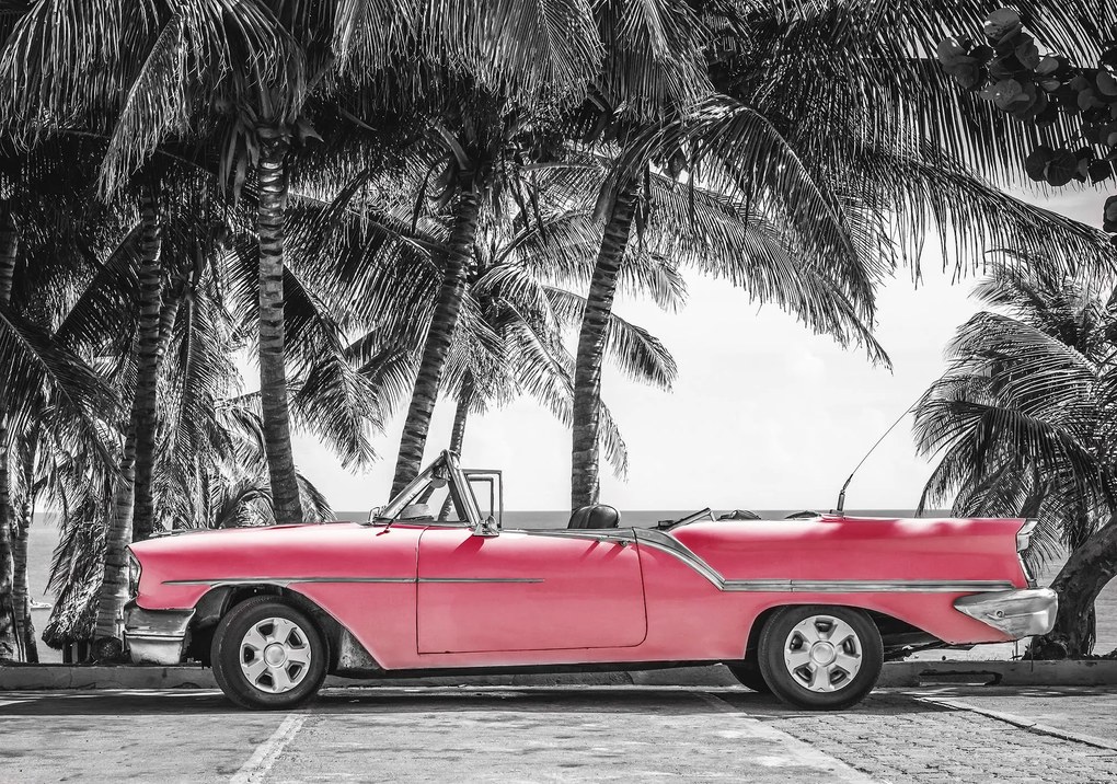 Postershop Fototapeta vliesová: Kuba červené auto - 184x254 cm