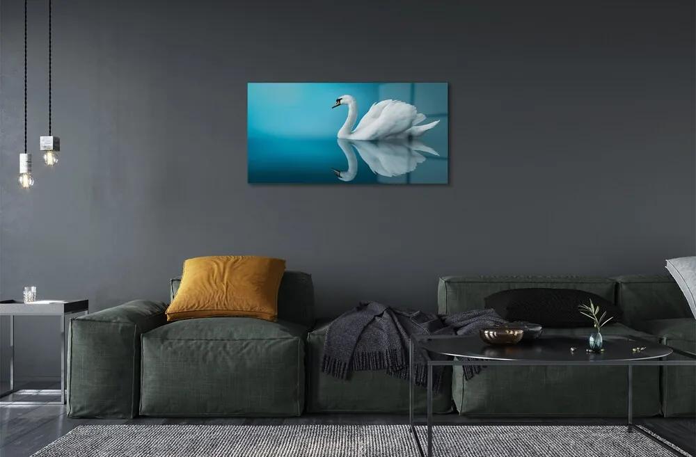 Obraz na skle Swan ve vodě 100x50 cm