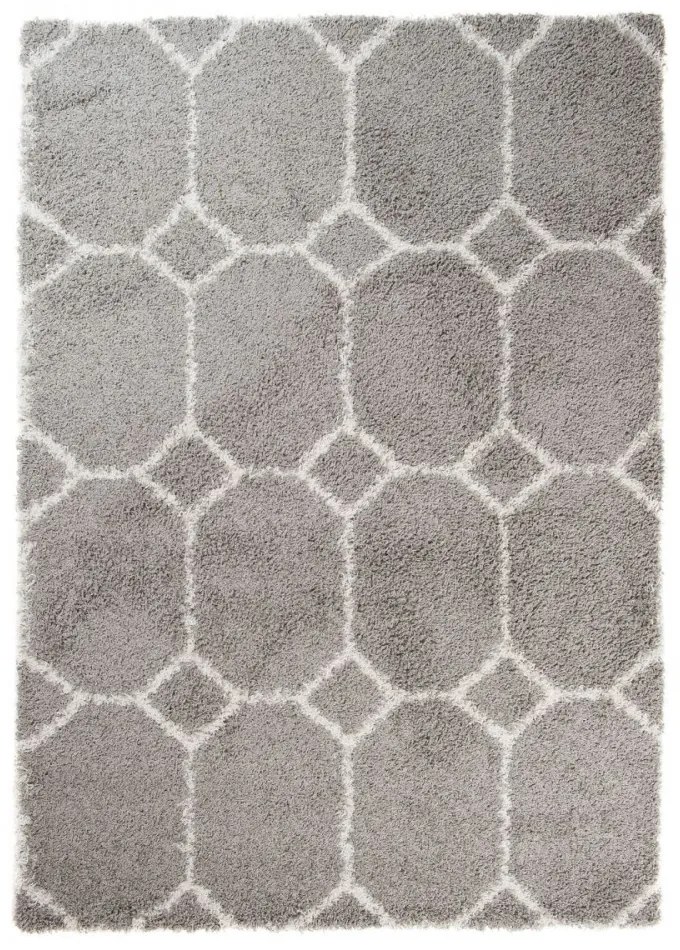 Kusový koberec Shaggy Mateas šedý 2, Velikosti 200x290cm