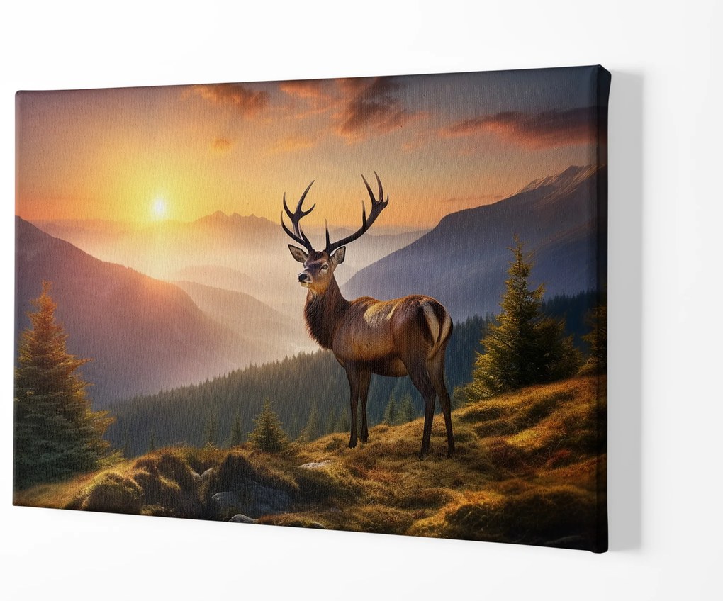 Obraz na plátně - Jelen se vyhřívá při západu slunce FeelHappy.cz Velikost obrazu: 120 x 80 cm