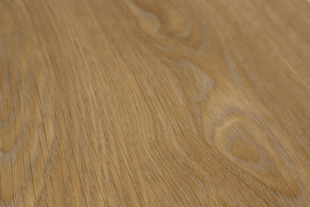 IVC Commercial, PVC podlaha - lino Logitex Ultimate 55 Elias T44, na míru, šíře 2m,4m, hnědá, filc, chodba / předsíň
