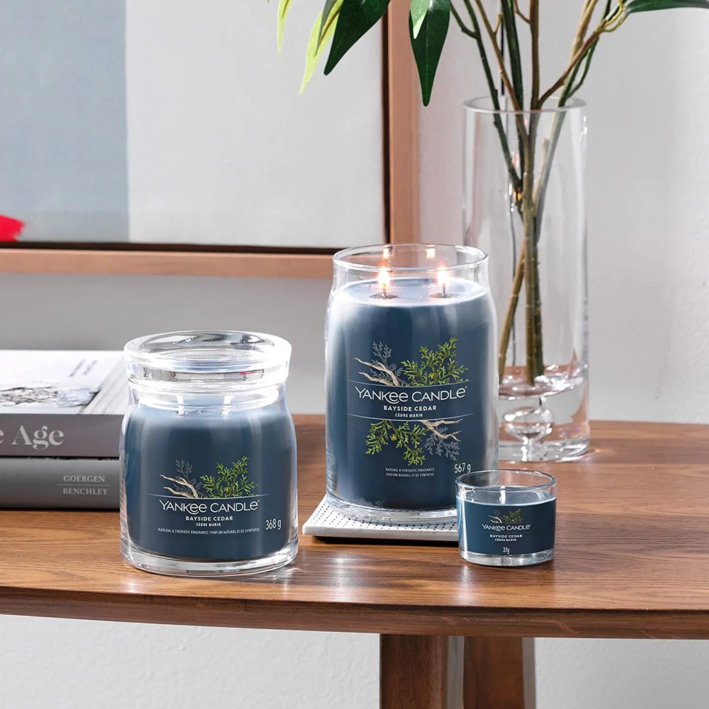 Yankee Candle vonná svíčka Signature ve skle velká Bayside Cedar 567g