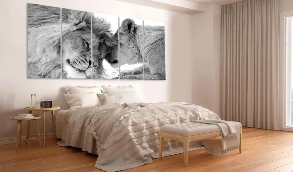 Pětidílný obraz Lvi-černobílý + háčky a hřebíčky ZDARMA Velikost (šířka x výška): 150x60 cm
