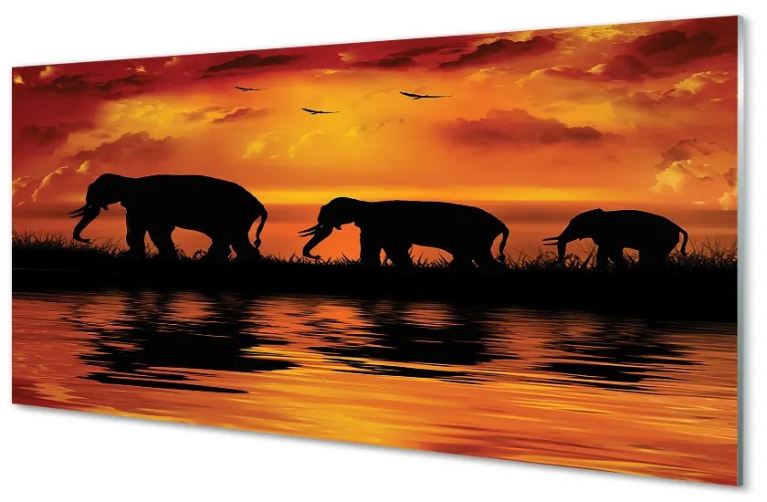 Obraz na skle sloni West Lake 125x50 cm