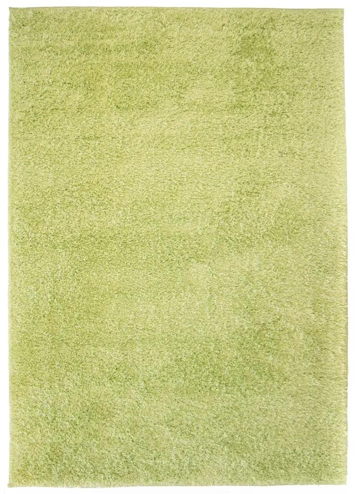 133059 vidaXL Kusový koberec s vysokým vlasem Shaggy 140 x 200 cm zelený |  BIANO