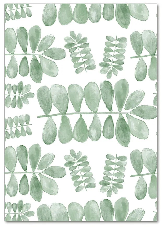 Wallmuralia Fotoobraz na skle Listí eukalyptu 70x100 cm