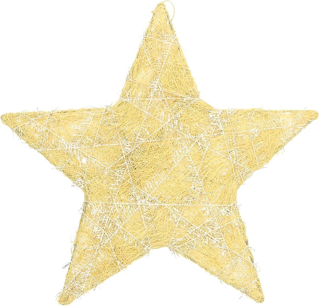 Vánoční ozdoba Golden Star II 25 cm