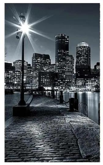DIMEX | Vliesová fototapeta na zeď Boston MS-2-0016  | 150 x 250 cm | černobílá