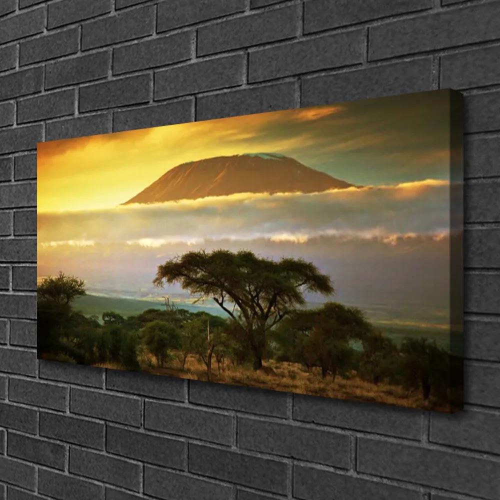 Obraz na plátně Strom Hory Příroda 100x50 cm