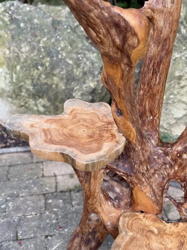 Škrabadlo pro kočky nebo stojan na květiny, Teak 209 cm 185 - 220 cm
