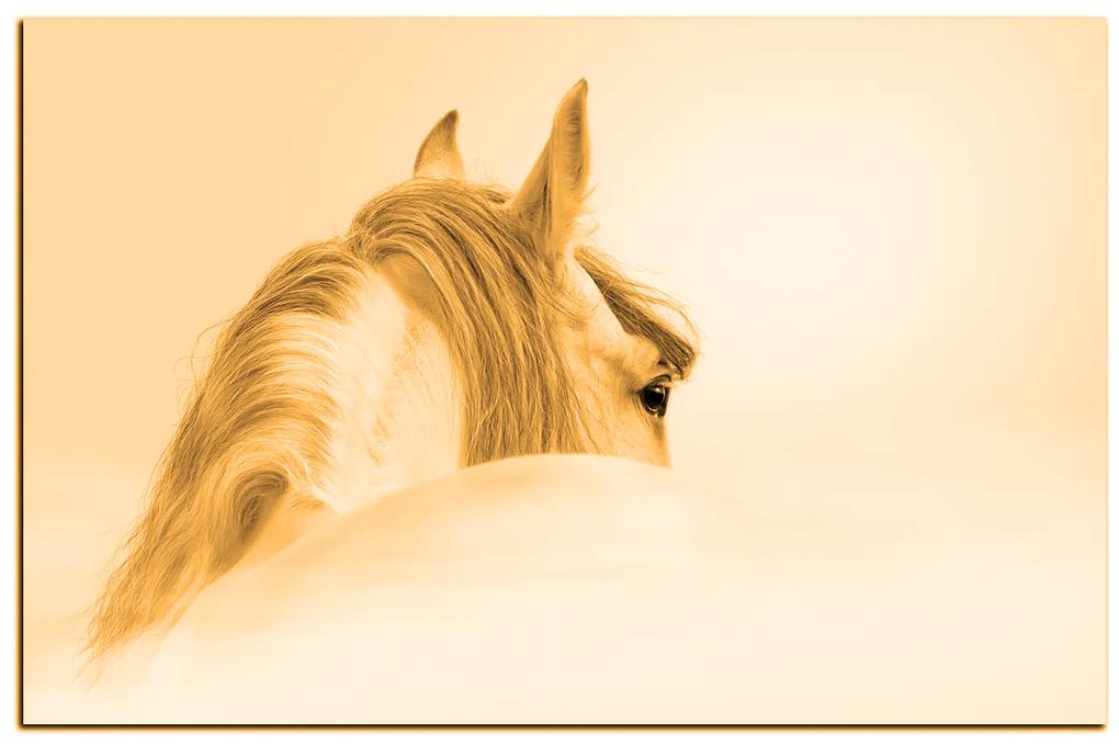 Obraz na plátně - Andaluský kůň v mlze 1219FA (120x80 cm)
