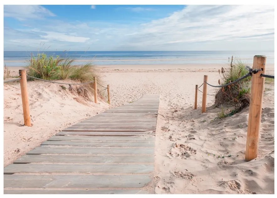 Fototapeta - On the beach