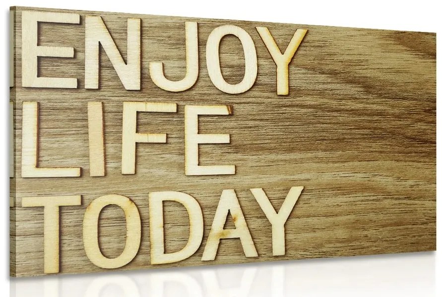 Obraz s citací - Enjoy life today