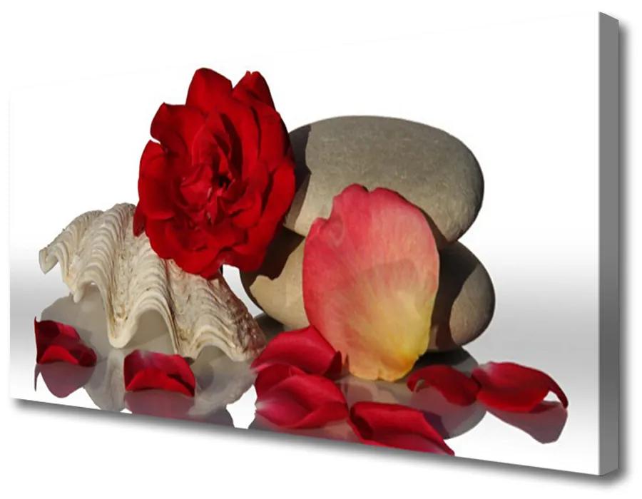 Obraz na plátně Růže Plátky Mrtvá Příroda 125x50 cm