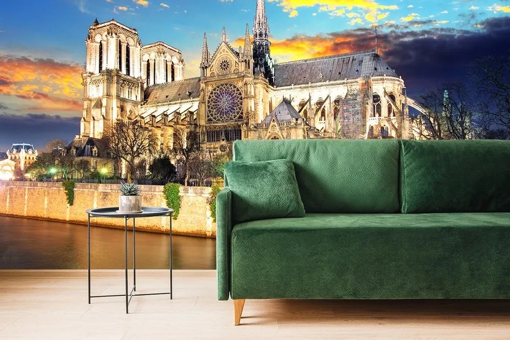 Samolepící fototapeta katedrála Notre Dame - 225x150 cm