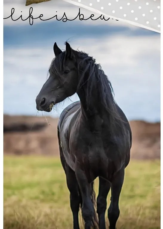 TipTrade Bavlněné povlečení 140x200 + 70x90 cm - Černý mustang