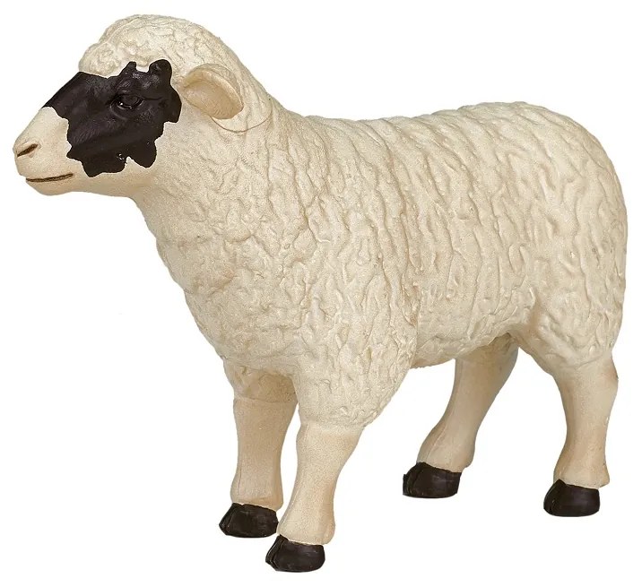 Mojo Hampshire ovce