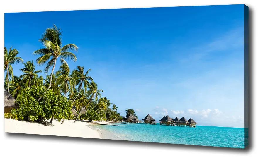 Wallmuralia Foto obraz na plátně Pláž na Karibských ostrovech 100x50