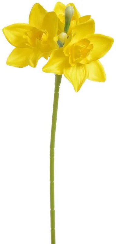 narcis 36 cm - žlutá