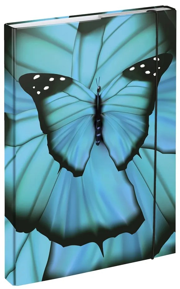 BAAGL Desky na školní sešity A4 Butterfly