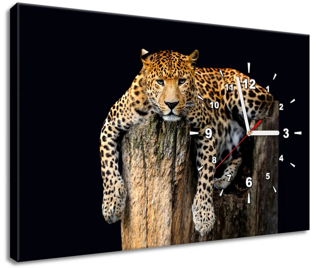 Gario Obraz s hodinami Odpočinek leoparda Velikost: 60 x 40 cm