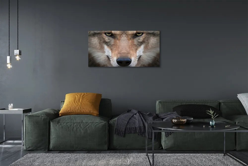 Obrazy na plátně wolf Eyes 140x70 cm