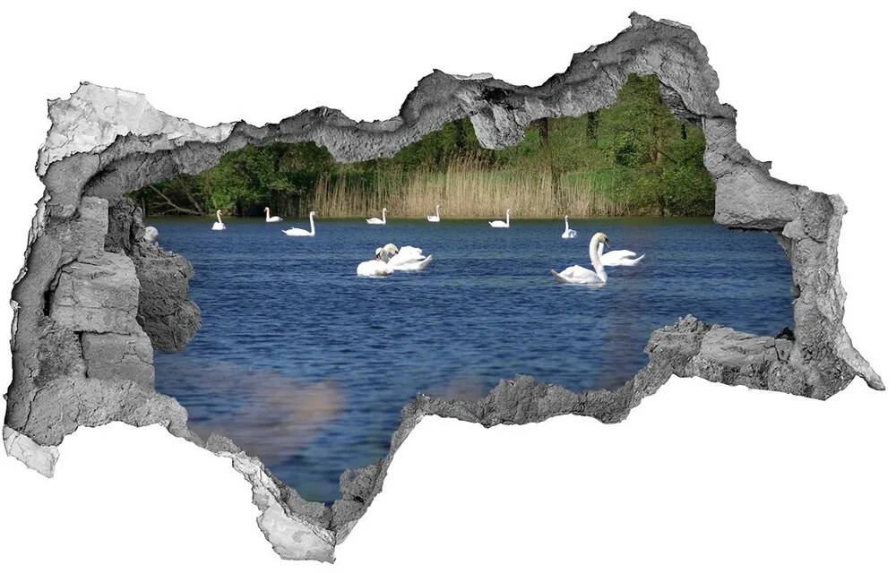 Wallmuralia Díra 3D fototapeta nálepka Bílé labutě 95x73 cm