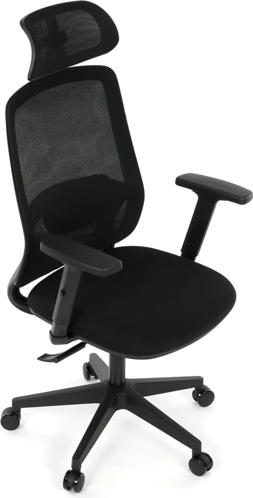 Ergonomická kancelářská židle VEBRUA - černá síťovina