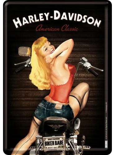 Postershop Plechová pohlednice - Harley-Davidson (Biker Babe)