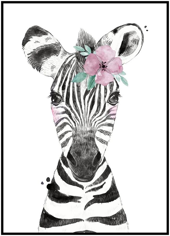 Plakát Zebra Rozměr plakátu: A4 (21 x 29,7 cm), Varianta zebry: Zebra indián