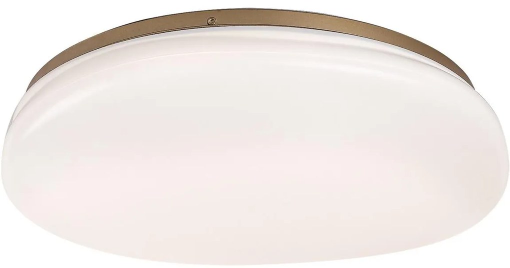 Rabalux 75053 - LED Koupel. stropní svítidlo CALIOPE LED/24W/230V IP44 pr. 41 cm