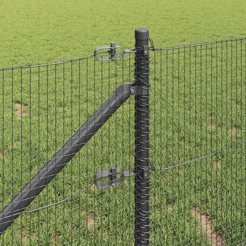 Svařované drátěné ploty s hroty 25 x 0,8 m Ocel potažená PVC 3352195
