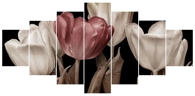 Obraz tulipánů - červená černobílá (210x100 cm), 40 dalších rozměrů