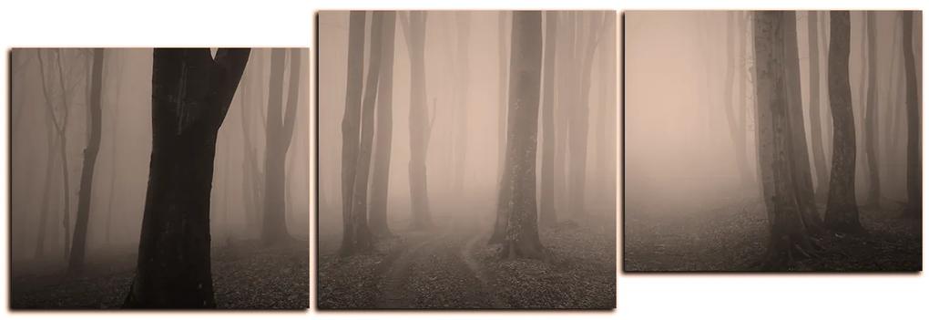 Obraz na plátně - Mlha v lese - panoráma 5182FE (120x40 cm)