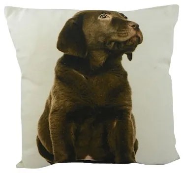 Béžový polštář čtvercový s hnědým labradorem - 33*10*33cm