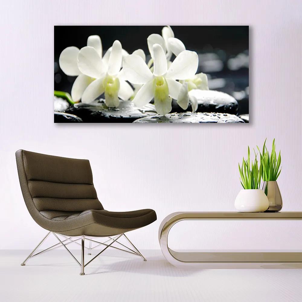 Plexisklo-obraz Kameny Květiny Orchidej 120x60 cm